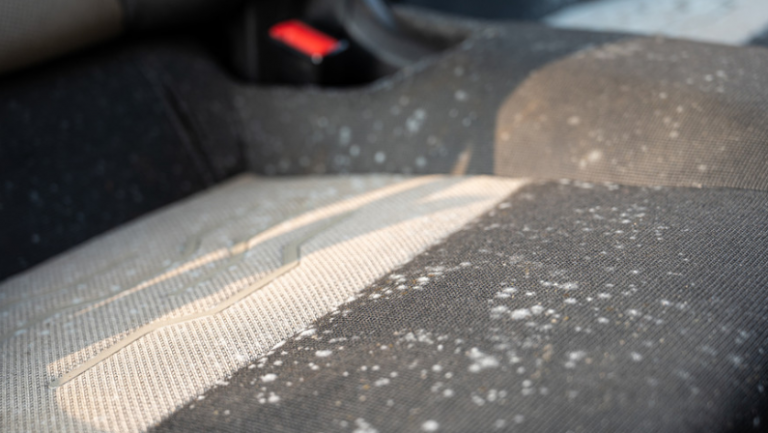 Why Does My Car Smell Bad? Common Causes & How to Fix Them | Carhub